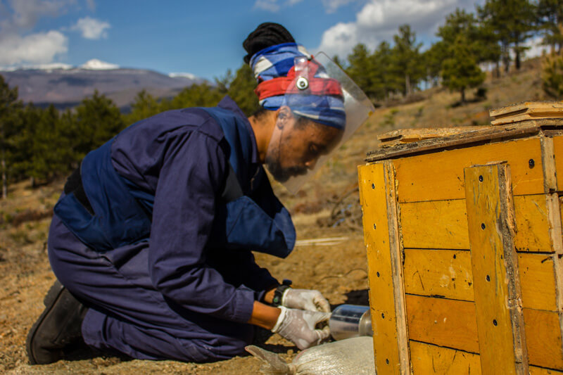 Testimonials - Praedium Consulting Malta